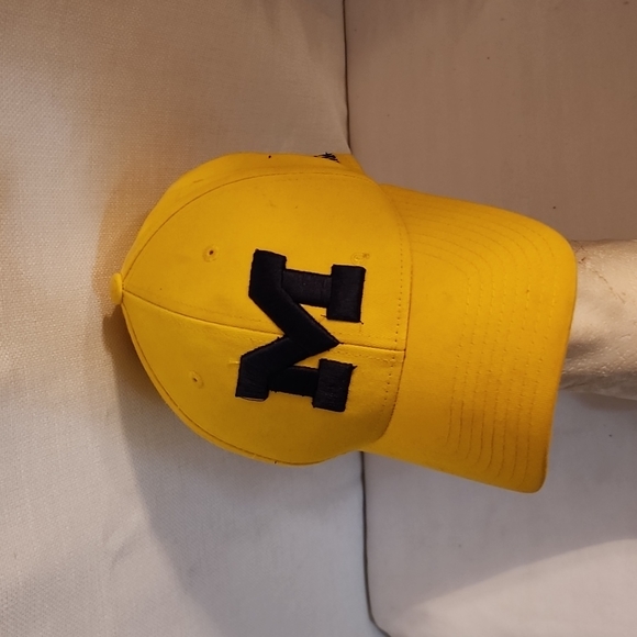 adidas | Accessories | University Of Michigan Baseball Cap | Poshmark